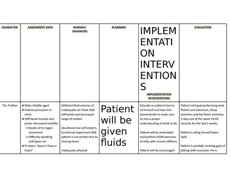 Adpie Wizard Of Oz 1 1 Character Assessment Data Nursing Diagnosis Planning Implem Entati On