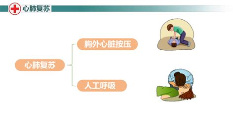 82 用药与急救（第2课时）课件共34张ppt内嵌视频1个2023 2024学年人教版生物八年级下册 21世纪教育网