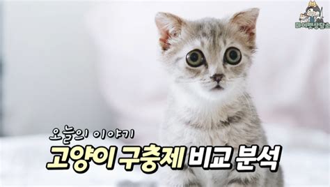 고양이 기생충 예방을 위한 다양한 구충제 선택 기준 네이버 블로그
