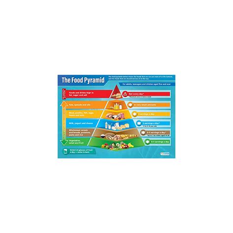 Food Pyramid Science Posters Laminated Gloss Paper Measuring 850mm X 594mm A1 Science