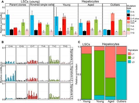 Mutational Spectra In Normal Human Liver Cells A Relative