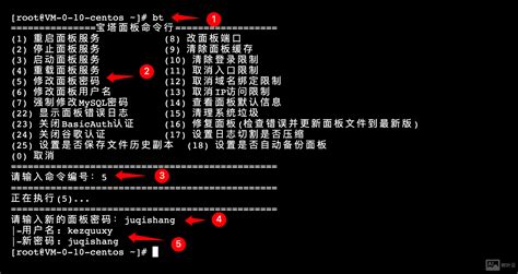 宝塔面板忘记登录地址、账号和密码的解决办法 树叶云