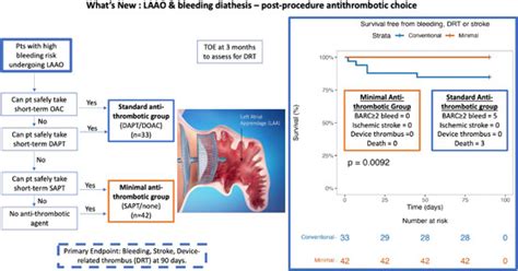 Journal Of Cardiovascular Electrophysiology Vol 34 No 12
