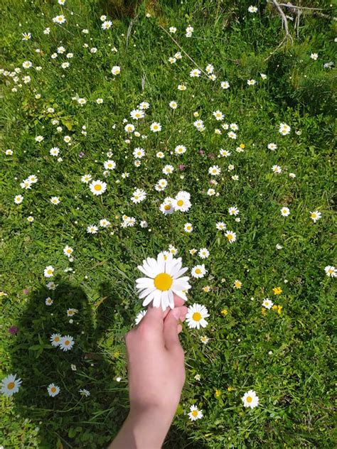 დაბა კულაშის საჯარო სკოლის ეკო კლუბი Facebook