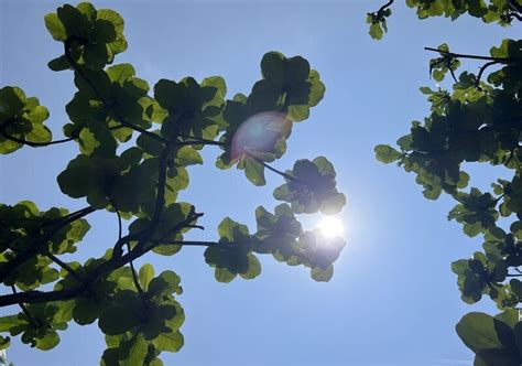 429は各地34度まで気温上昇の見込み、午後は北部と東部で雷雨に注意 ニュース Rti 台湾国際放送
