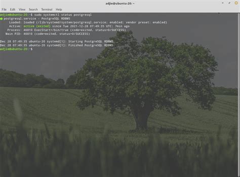How To Install Postgresql 14 On Ubuntu 2004 Lts Focal Fossa