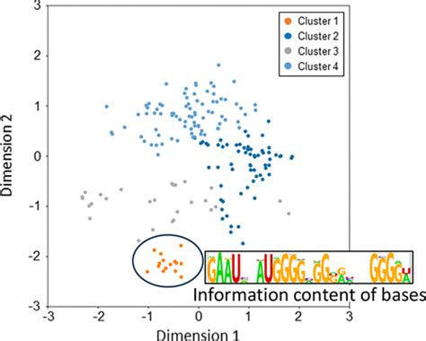 Raptgen Assisted Generation Of An Rna Dna Hybrid Aptamer Against Sars