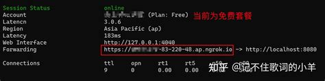 【超详细傻瓜式教程】向github提交代码时触发jenkins自动构建 知乎