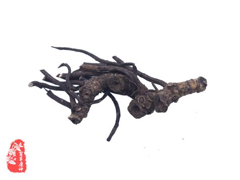 威灵仙伪品 河北百草康神药业有限公司 中药材 中药饮片 根茎类