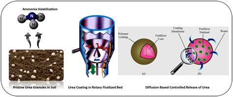 Polymers Free Full Text Production And Characterization Of Controlled Release Urea Using