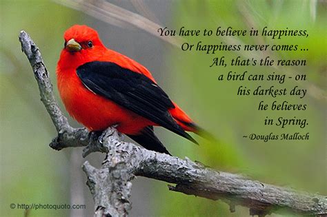 Quotes About Birds In Spring Quotesgram