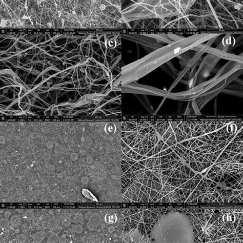 Fesem Micrographs Of Mnps Gcapva Nanofibers A B 00mnps Gca And C
