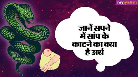 Dream Of Snake Bite Know What A Snake Bite In A Dream Indicates
