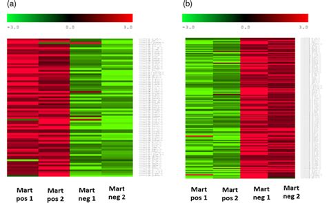 Heat Maps Of The Most Upregulated Degs A And The Most Downregulated
