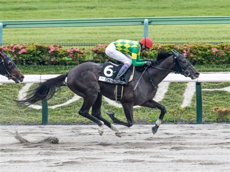 【エアグルーヴcレース後コメント】ルクスフロンティア武豊騎手ら 競馬ニュース Netkeiba