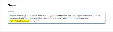 How To Hide Pinnable Images In Wordpress Blog Posts