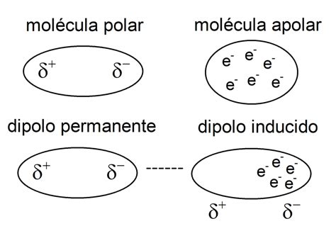 Qué Son Las Fuerzas De Van Der Waals Y Cuáles Son Sus Tipos