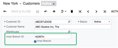 Acumatica Can I Get The Custom Filed Of Customer In Sales Order Screen Stack Overflow