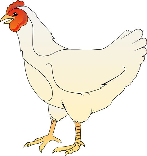 Free Chickens Vector Art Download 496 Chickens Icons And Graphics