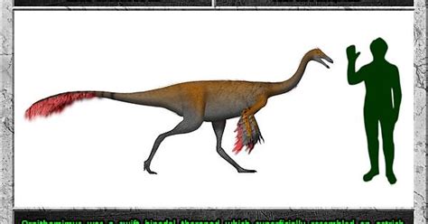 Ornithomimus Album On Imgur