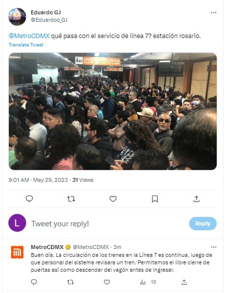Metro Cdmx Hoy 29 De Mayo Se Reportó La Presencia De Dos Gatos Sobre