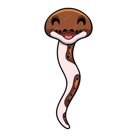 Premium Vector Cute Pied Reticulated Python Cartoon