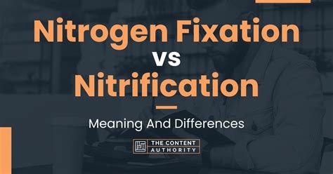 Nitrification Meaning