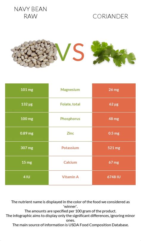 Navy Bean Raw Vs Coriander — In Depth Nutrition Comparison