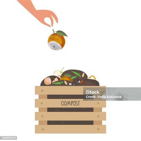 人間の手は堆肥と箱に甘やかされたオレンジ色の果物を置きます果物野菜のスクラップ地面に緑と木箱食品廃棄物なし環境に配慮した行動ガベージソート再