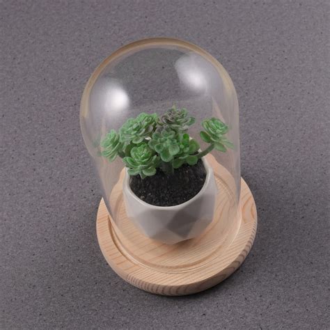 Badu Bg Стъклен купол Капак Cloche Bell Jar Витрина Витрина Цвете