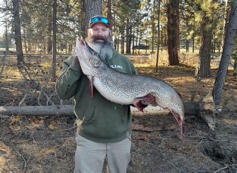 Idaho Fish Reports