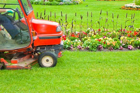 잔디 깎는 기계에 타고 잔디를 절단 복사 공간이있는 이미지 거리에 대한 스톡 사진 및 기타 이미지 거리 녹색 농업 기계 Istock