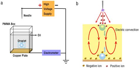 Oscillating Motion