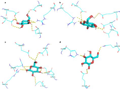 Arrangement Of Amino Acid Residues In The Active Site Of Pali Nx 5