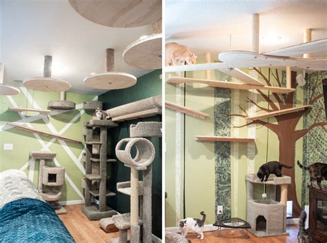 Amazing Cat Superhighway From The Catification Couple • Hauspanther