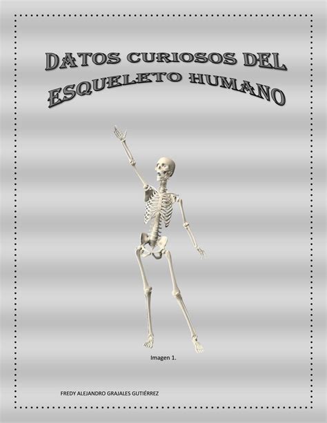 Datos Curiosos Del Esqueleto Humano By Fredy Alejandro Grajales Issuu