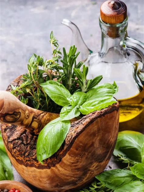 10 Herbs That Help Reduce Belly Fat Easily Times Of India