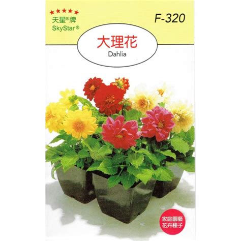 愛上種子 大理花【花卉種子】 天星牌 花卉小包裝種子 種子批發 Iopen Mall