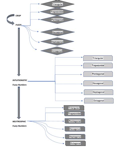 Flow Chart Of The Three Types Fuzzy Intuitionistic Fuzzyand