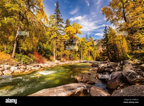 Looking Down Cayoosh Creek In The Autumn Lillooet British Columbia