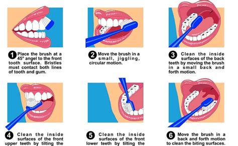 Learn The Effective Brushing Techniques Adc Website