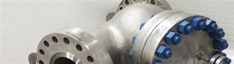 Y Strainers Procedyne Engineers