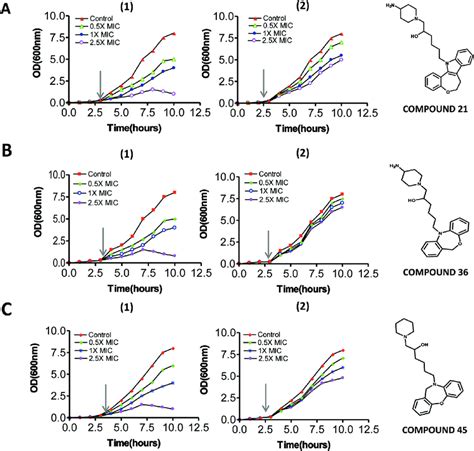 Bactericidal Activity Of Compounds A 21 B 36 C 45 Effect On Download Scientific Diagram