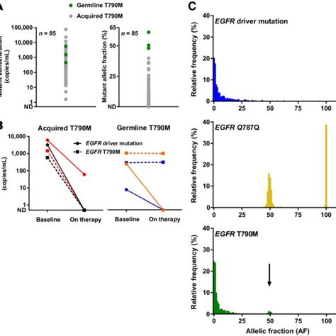 Germline And Tumor Derived Egfr Mutations Within Plasma Cell Free Dna Download Scientific