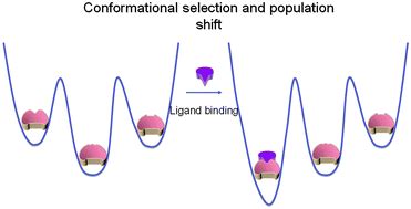 The Free Energy Landscape In Translational Science How Can Somatic
