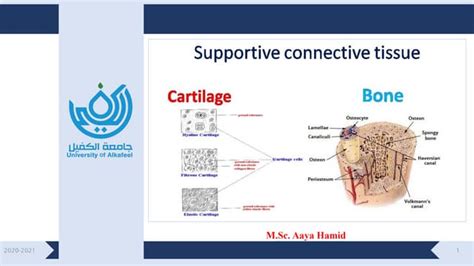 Lab4ppt20210112010156pptx Provid Pptx