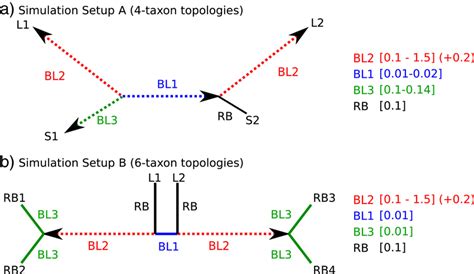 Simulation Setup A And B Two Sets Of Nucleotide And Amino Acid Data