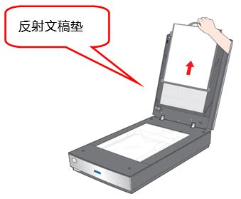 扫描仪扫描胶片方法 爱普生产品常见问题 爱普生中国