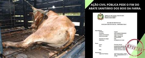 Pin Em Agindo Pela Natureza