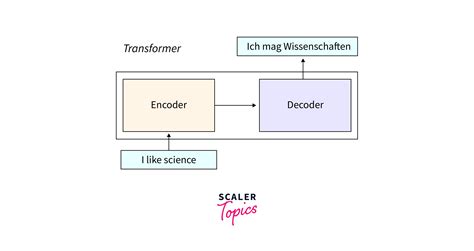 Transformer Visualization And Explainabilitys Scaler Topics